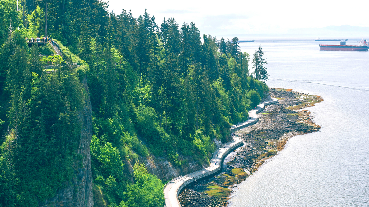 Tall Men’s Clothing That Fits | Navas Lab Apparel