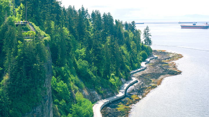 Tall Men’s Clothing That Fits | Navas Lab Apparel